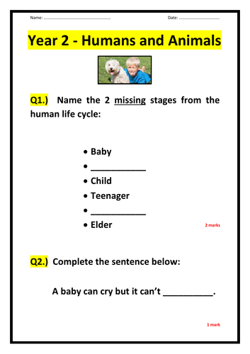 Year 2 Science Test - Humans and Animals | Teaching Resources