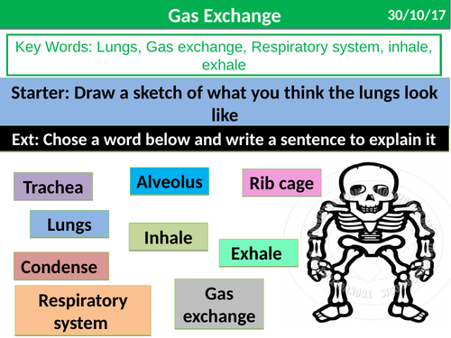 GAs Exchange | Teaching Resources