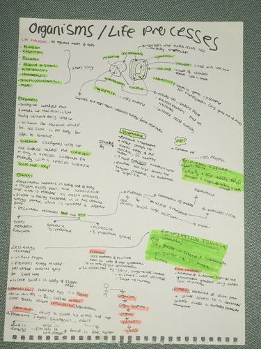 Unit 1 Organisms and Life Processes Biology IGCSE Edexcel | Teaching ...