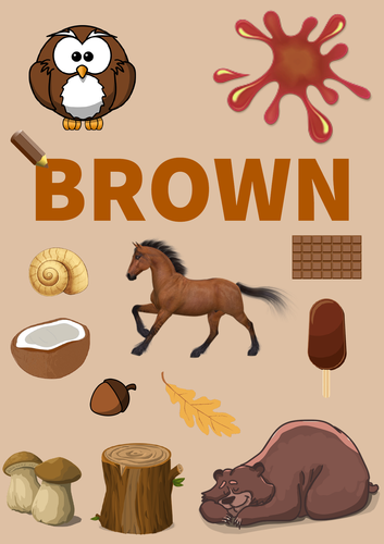 Colour Poster: Brown | Teaching Resources