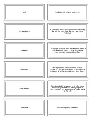 Animal cell and Plant cell / Flash card and worksheet year 7-10 ...