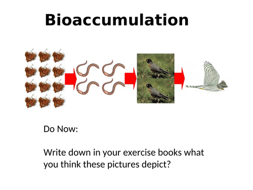Secondary Biology Resources: Biology Lessons for KS3, KS4, GCSE | Tes