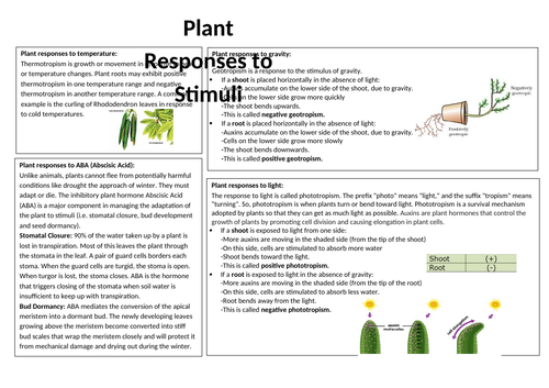A-Level Biology: Plant responses to stimuli | Teaching Resources