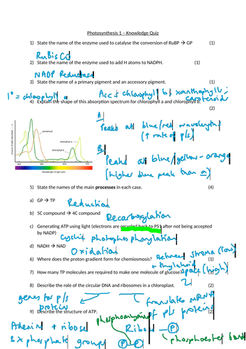 Metabolism Quick Quizzes (OCR A) | Teaching Resources