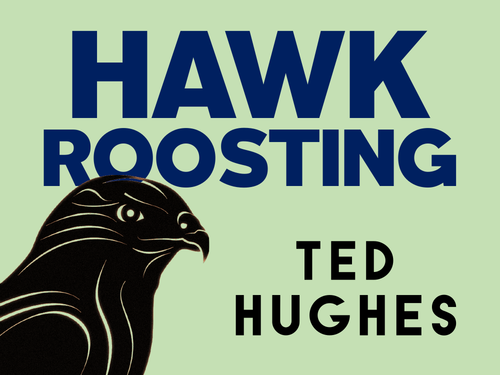 Hawk Roosting: Ted Hughes | Teaching Resources