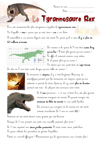 [French, dinosaurs] The Tyrannosaurus Rex - Written comprehension ...