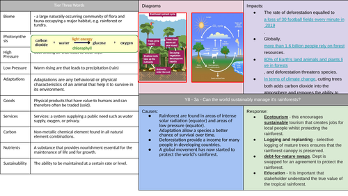 Rainforest Knowledge Organiser | Teaching Resources
