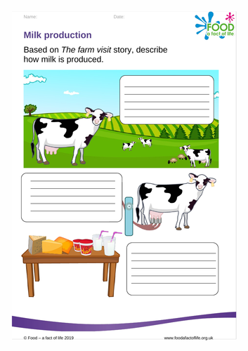 The farm visit- milk production | Teaching Resources