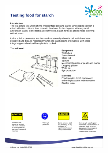 Testing Foods for Starch | Teaching Resources