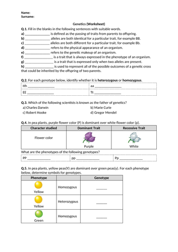Genetics - Worksheet | Distance Learning | Teaching Resources