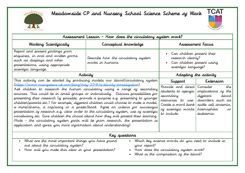 Y6 Animals Including Humans - Blood and Transportation Assessment ...
