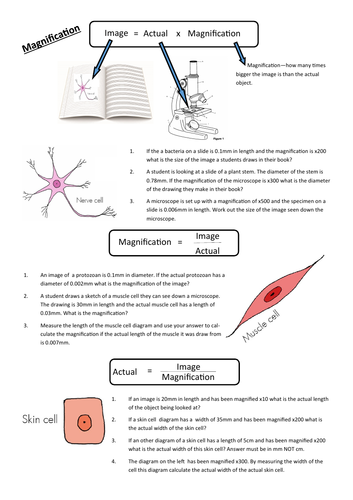 Magnification equation | Teaching Resources