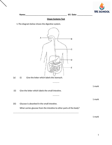 Organ systems test | Teaching Resources