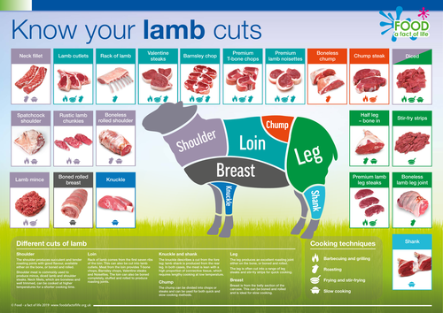Know your lamb cuts poster | Teaching Resources
