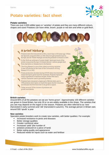 Potato varieties fact sheet | Teaching Resources