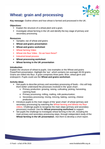 Wheat grain production and processing lesson plan | Teaching Resources