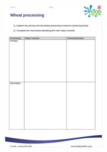 Wheat processing worksheet | Teaching Resources