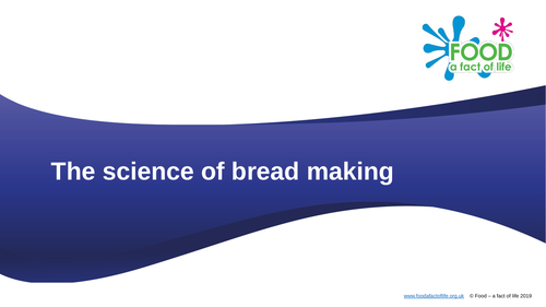 The science of bread making presentation | Teaching Resources