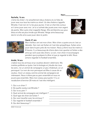 Mes Animaux de Compagnie Lecture: Pets French Reading | Teaching Resources