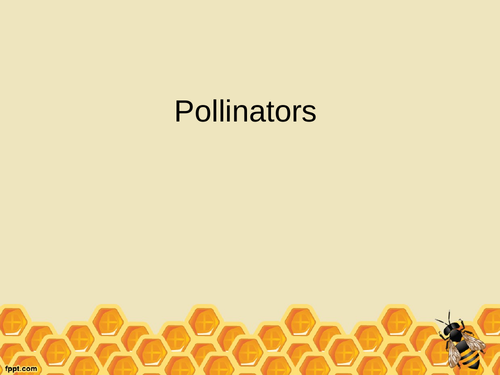 Pollinators - graphing beehives | Teaching Resources
