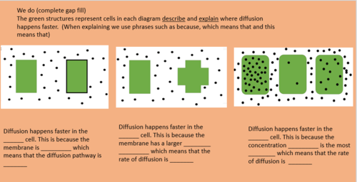 Diffusion (movement within cells) KS3, KS4, GCSE | Teaching Resources