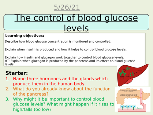Control of blood glucose levels AQA science trilogy Biology GCSE | Teaching Resources