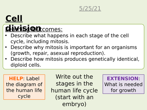 Cell division by mitosis AQA combined science trilogy GCSE Biology ...