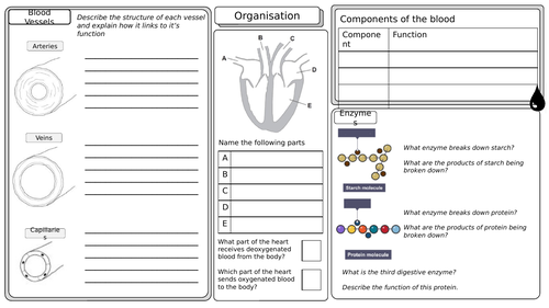 Circulatory System Revision | Teaching Resources Circulatory System Revision | Teaching Resources