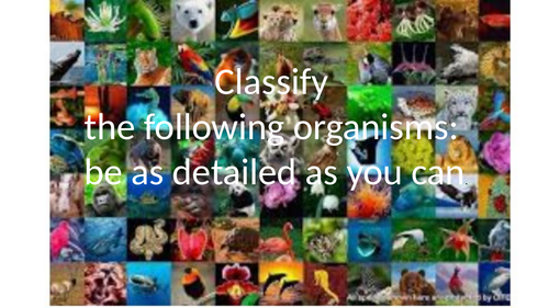 Classification activity | Teaching Resources