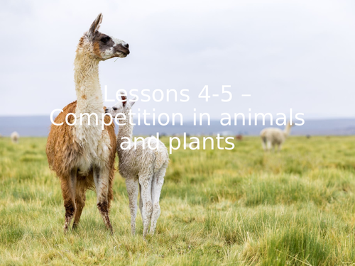 AQA GCSE Biology (9-1) B16.4-5 Competition in animals and plants - FULL ...