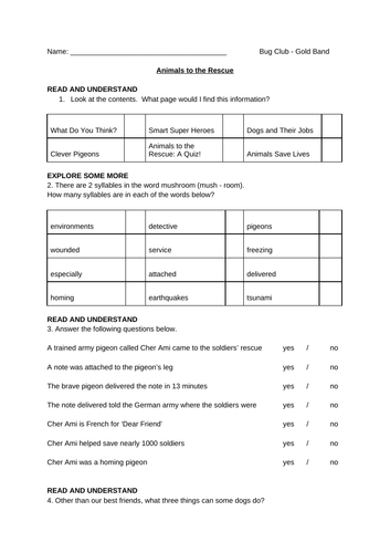 Reading Comprehension Bundle (45) | Teaching Resources