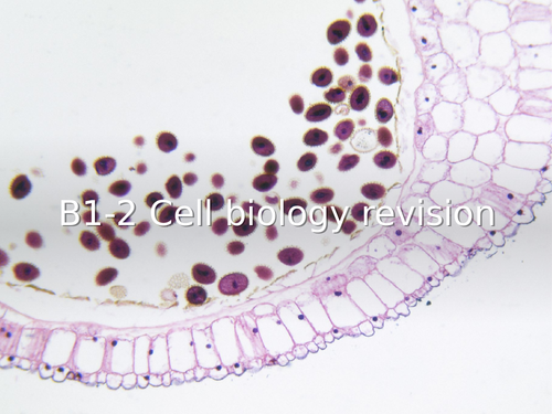 AQA GCSE Biology (9-1) B1-2 Cell Biology REVISION LESSON | Teaching ... AQA GCSE Biology (9-1) B1-2 Cell Biology REVISION LESSON | Teaching ...