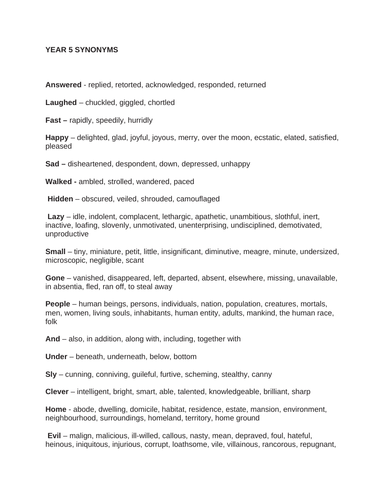 year 5 English Language Synonyms Lesson Plan | Teaching Resources