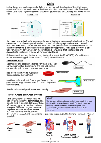 Cells | Teaching Resources