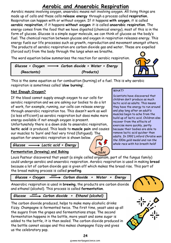 Aerobic and Anaerobic Respiration | Teaching Resources