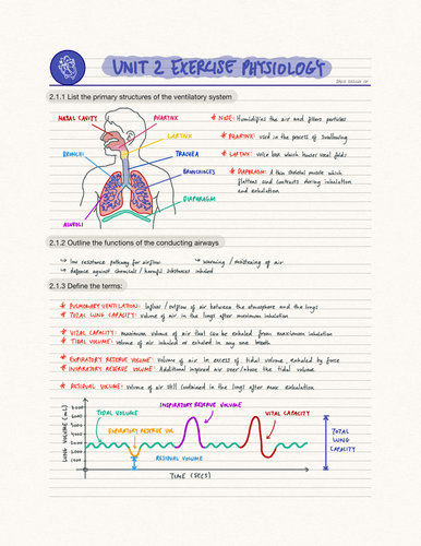 IB Biology / Sports Exercise and Health Science Notes (SL) - Teaching ...