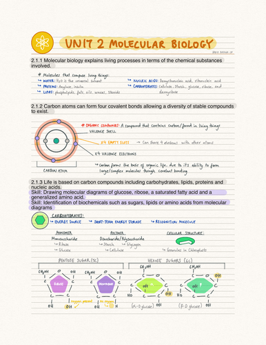 IB Biology Unit 2 Molecular Biology (SL) | Teaching Resources IB Biology Unit 2 Molecular Biology (SL) | Teaching Resources