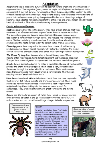 Adaptation | Teaching Resources