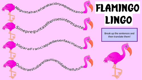 Spanish Flamingo Lingo Worksheet | Teaching Resources