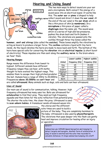 Hearing and Using Sound (Ultrasound) | Teaching Resources