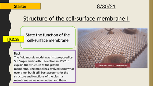 AQA A-Level New specification-Structure of the cell surface membrane ...
