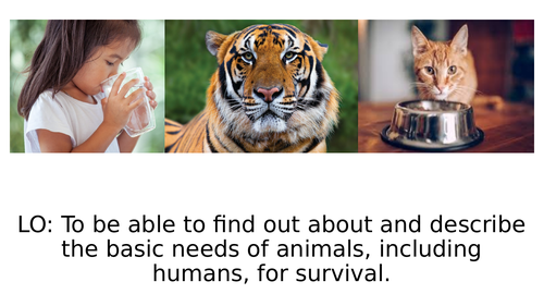 Year 2 Animals including humans Unit | Teaching Resources