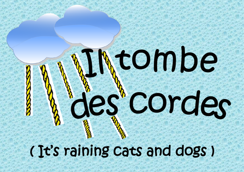 French Idiom Posters | Teaching Resources