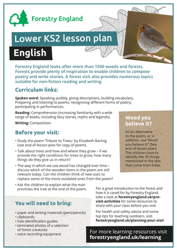 English in the forest lesson plan KS2 | Teaching Resources