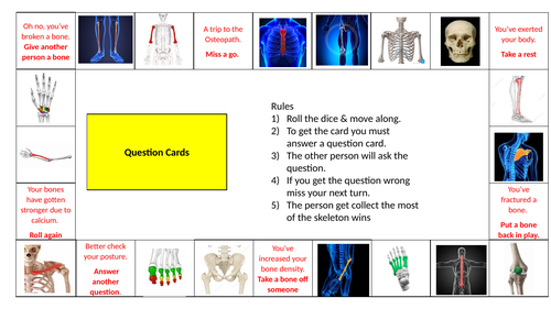 Skeletal System Recap Game | Teaching Resources