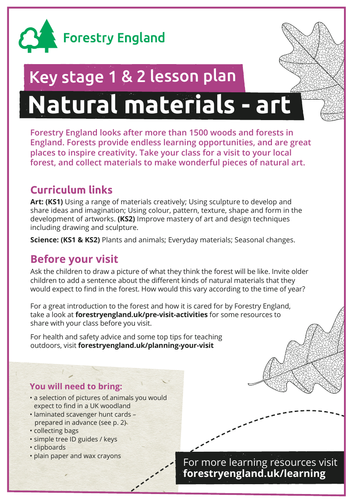 Natural materials - art in the forest lesson plan KS1 and KS2 ...