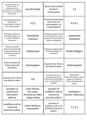 Genetic inheritance pattern dominoes x16 | Teaching Resources