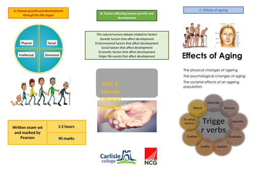 BTEC Human Life Span knowledge organiser | Teaching Resources