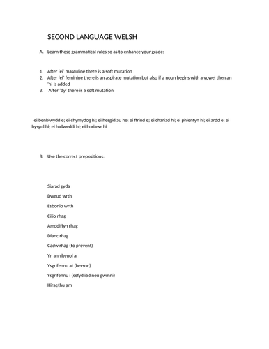 Second Language Welsh Revision Sheet - VOCABULARY; ESSAY WRITING ...