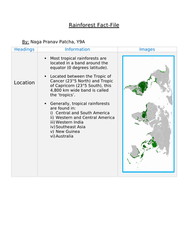 Geography - Rainforest Factfile | Teaching Resources